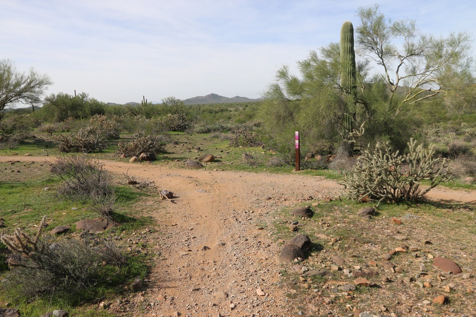 gjhikes.com: Badger Brawl