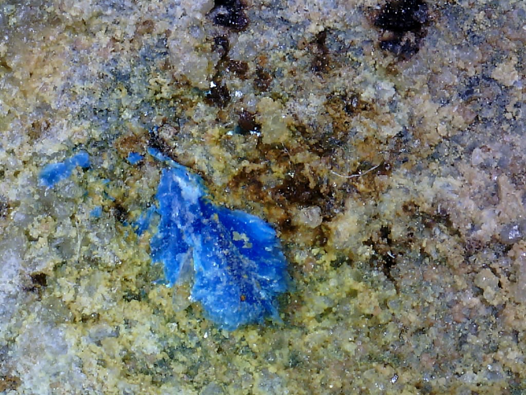 CSMS GEOLOGY POST: BLUE SAMPLEITE: COPPER PHOSPHATE