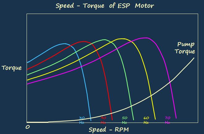 Electric Submersible Pumps: Varaible Speed Drive VSD