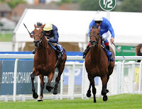 MARTEDÌ 30 OTTOBRE 2012. Breeding News: Nathaniel ritirato in razza al ...