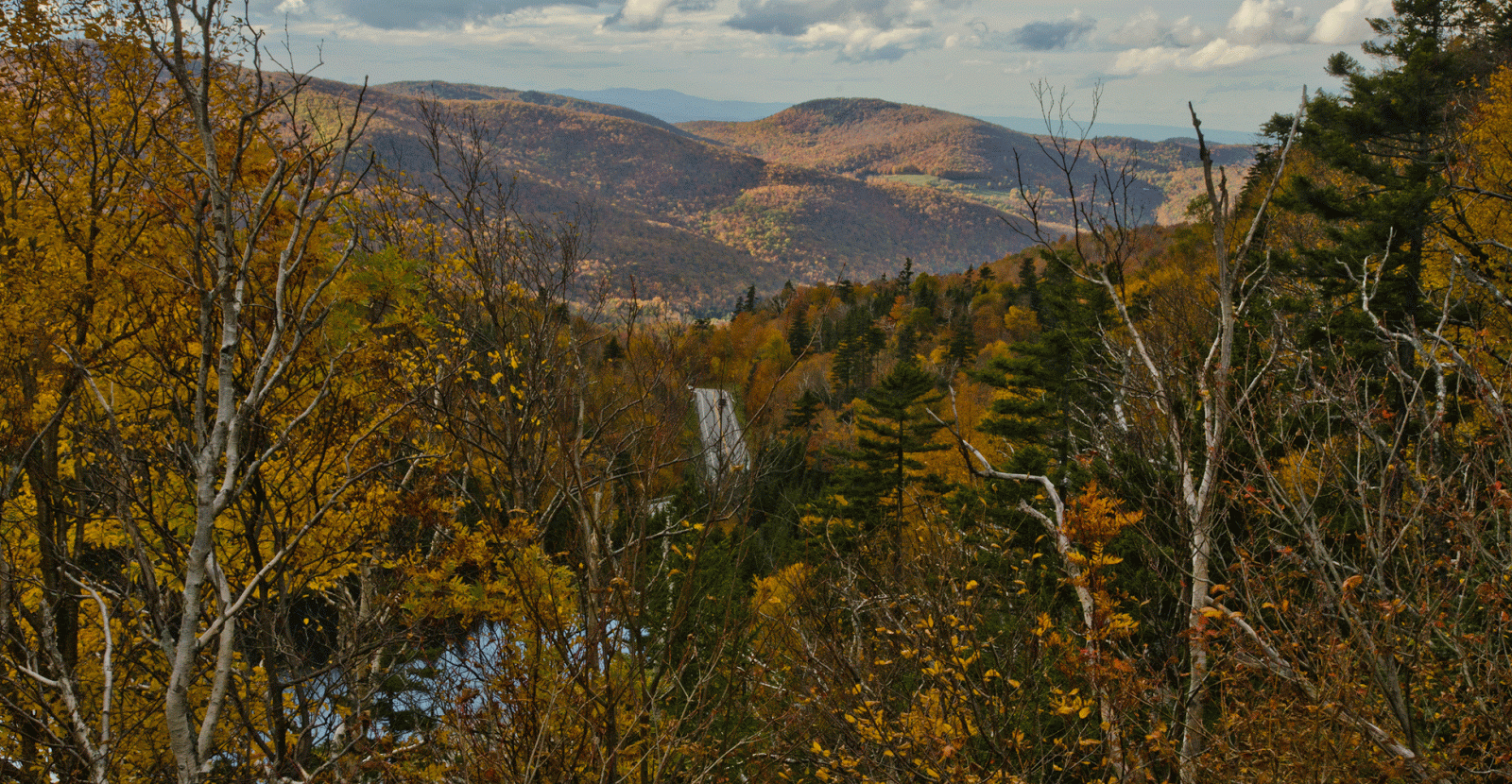 Journeys With Judy: Vermont Color