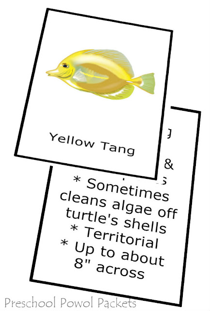 {FREE} Ocean Animals & Plants Cards | Preschool Powol Packets