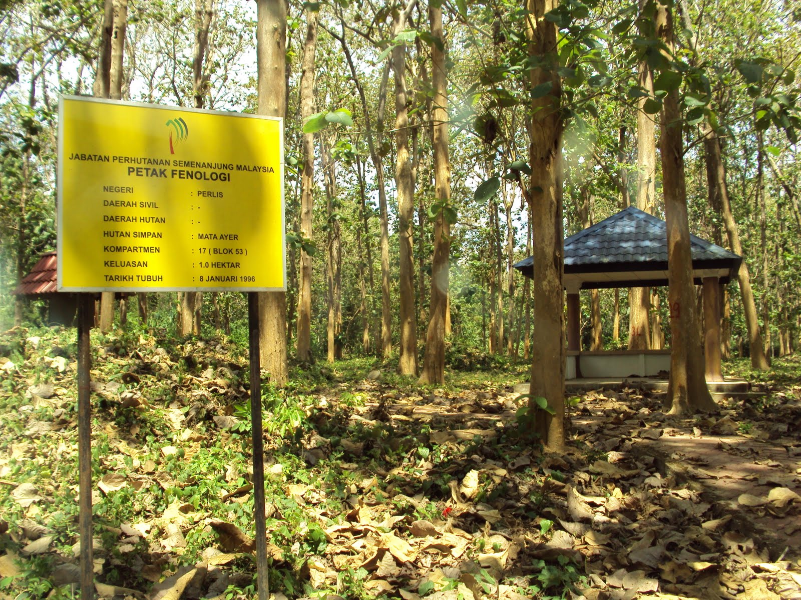 KTH Homestay & Chalet, Mata Ayer, Perlis: Taman Pokok Jati, Kaki Bukit