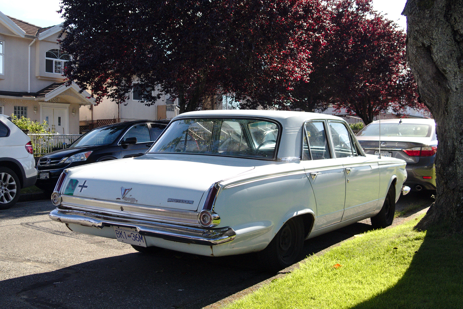 Old Parked Cars Vancouver: 1964 Plymouth Valiant 200