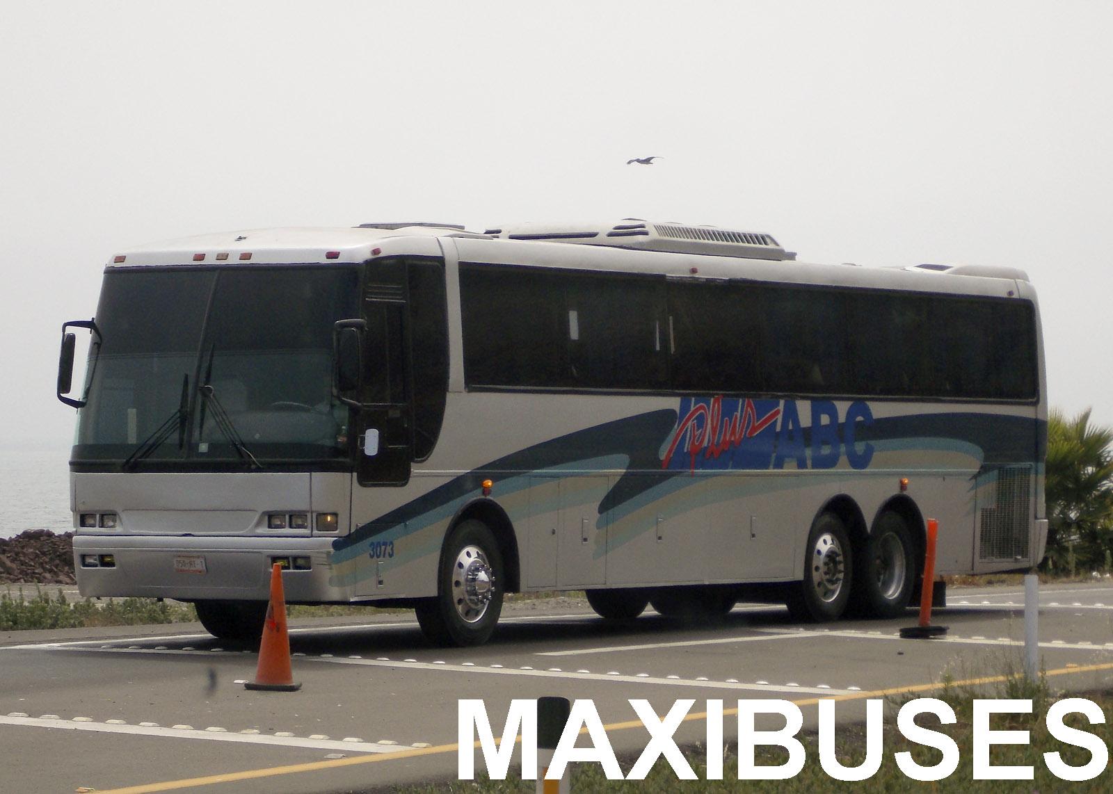 MAXIBUSES: AUTOTRANSPORTES DE LA BAJA CALIFORNIA, ABC PLUS
