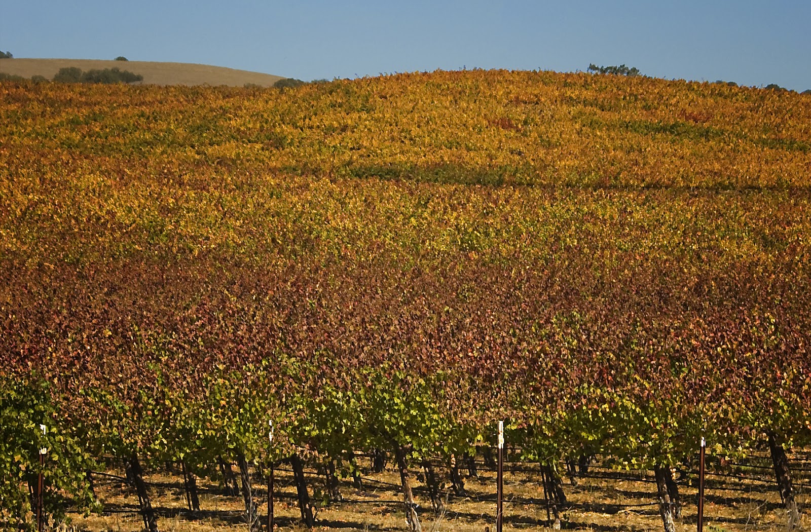 DalmDad's Photo and Travel Blog: Over the Mountain (Part 1 of 7 ...