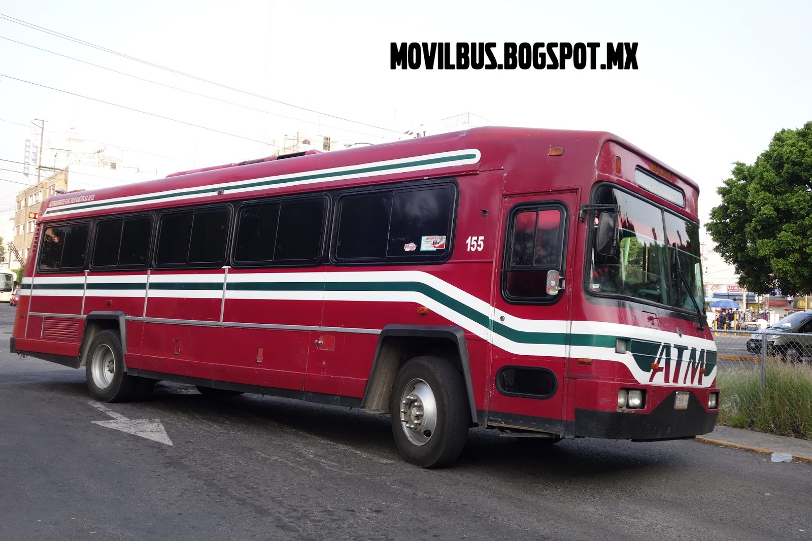 MASA PREMIER TRANSPORTES TALPA MASCOTA.