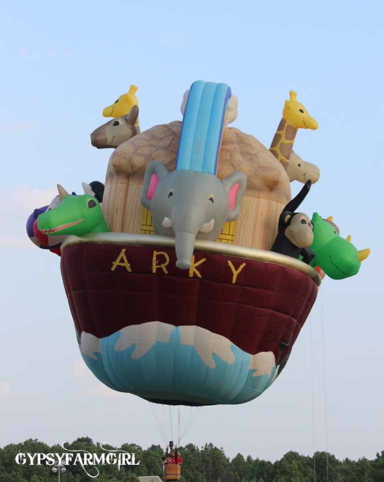 GypsyFarmGirl: Special Shape Hot Air Balloons