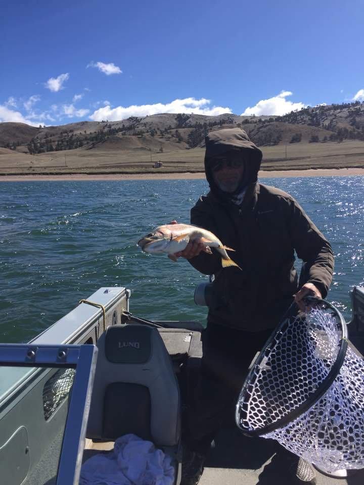 Fish Spotter: Wind Wind