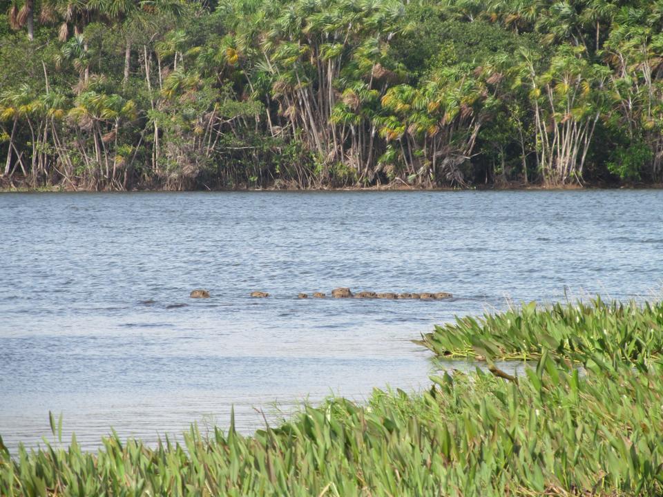 Mil ausencias: CARIMAGUA, no solamente ciencia y tecnología