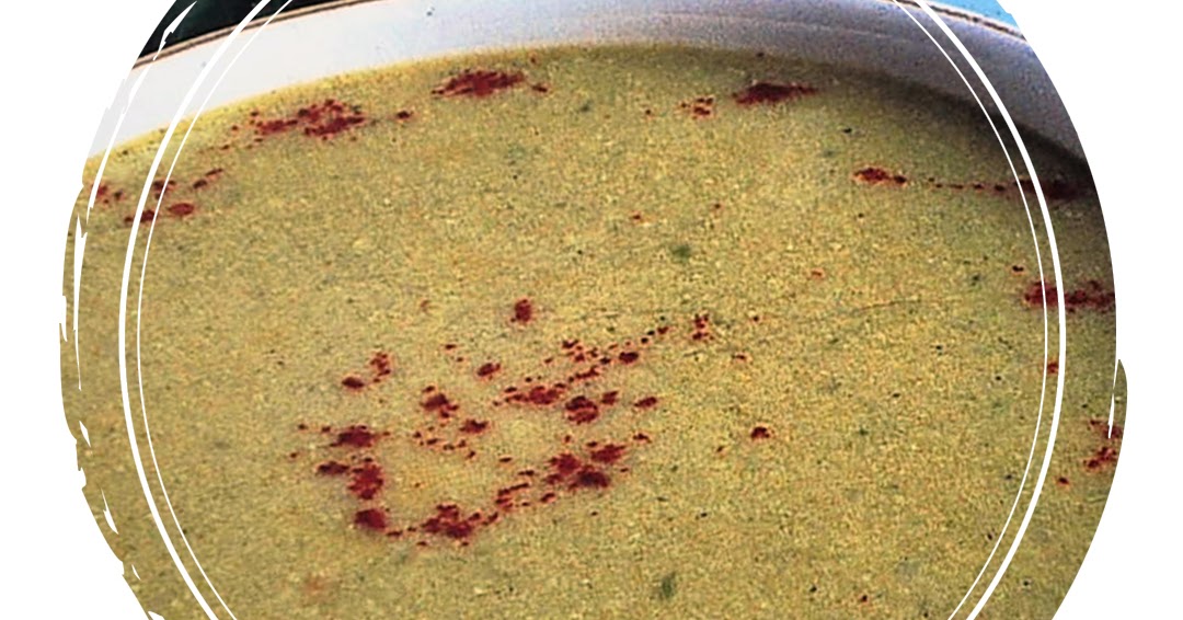 Yeşil Domates Çorbası - ÇORBALAR