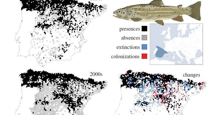 CURIOSO POR NATURALEZA: CAMBIOS EN LA DISTRIBUCIÓN DE LA TRUCHA COMÚN ...