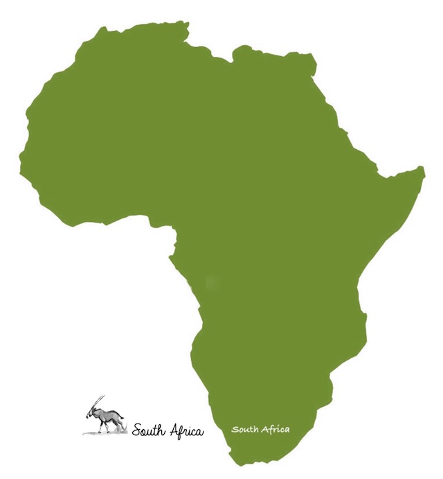 Hedgie's Nature Journal : What does my South Africa look like?