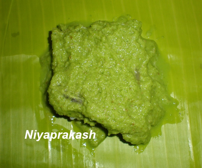 Niya's World: Patrani Machi