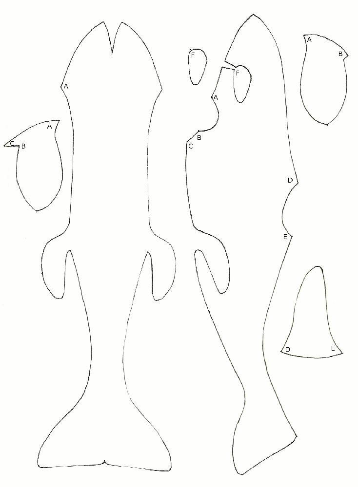 Elli's Animals: Orca