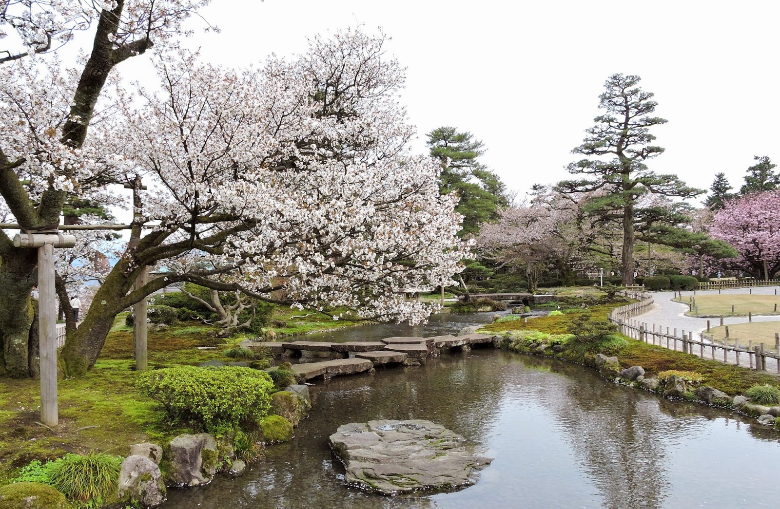 eGlobal Education: Kanazawa's famous Kenrokuen Garden in spring