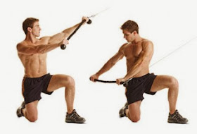 MUSCULACION PARA PRINCIPIANTES: Rutina abdominales con poleas ilustrada