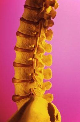 Spinal Cord Injury Causes , Symptoms ,Diagnosis and Treatment ...