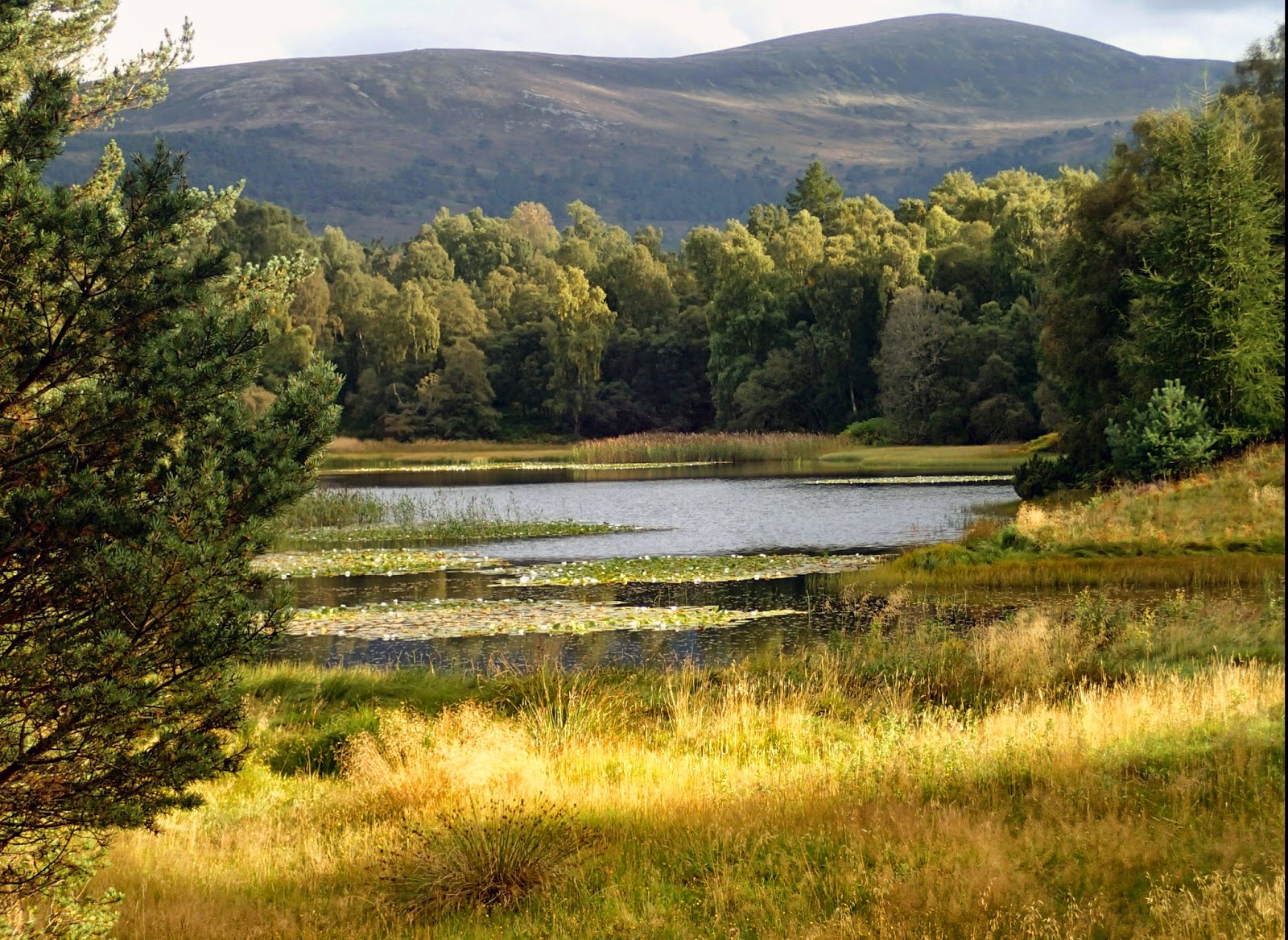 walking the rainbow trail: The Highland Lady's Rothiemurchus revisited