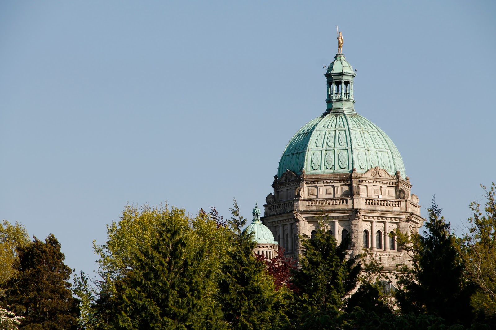 Bark and Purl: Victoria, BC