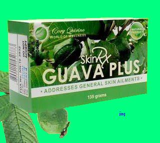 Wealth In Wellness: Skin Rx Guava Soap