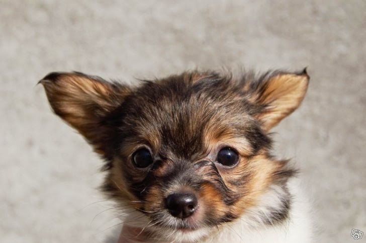 Eros kamp mot Thanatos: september 2014