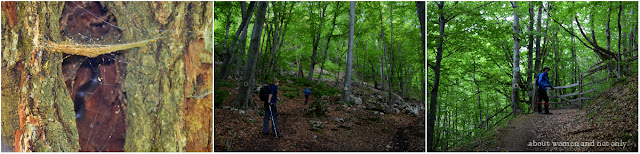 Dobraia, o plimbare prin Muntii Cernei