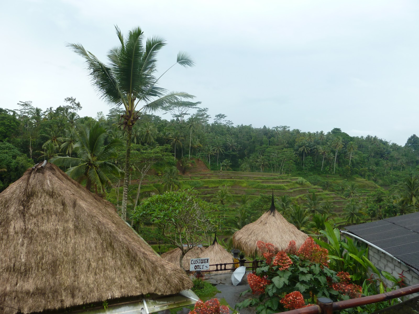 Alex around the world: 2012