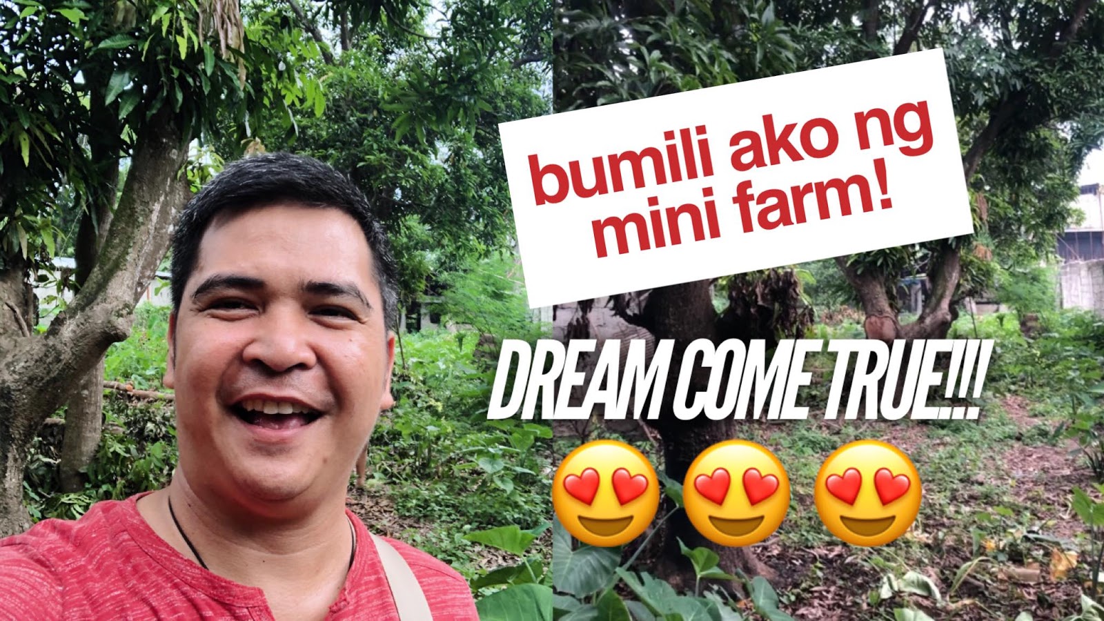 I Now Own A "Mini Farm" in Batangas! A DREAM COME TRUE! | Blogs, Travel ...