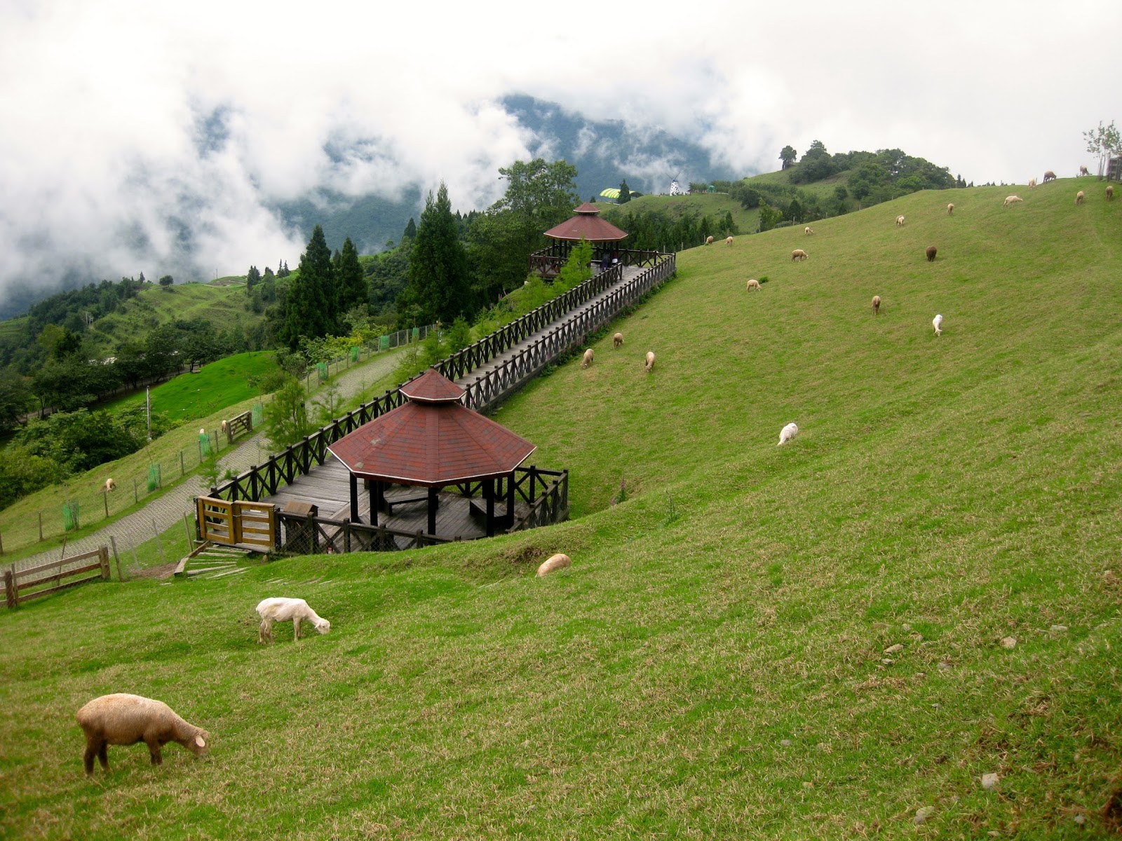 Wonderstruck; Wanderlust : Travelogue - Taiwan, Day 9 (CingJing Farm)