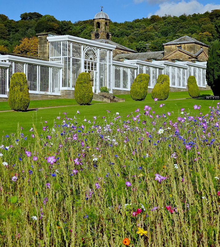 Where Five Valleys Meet: Chatsworth Garden