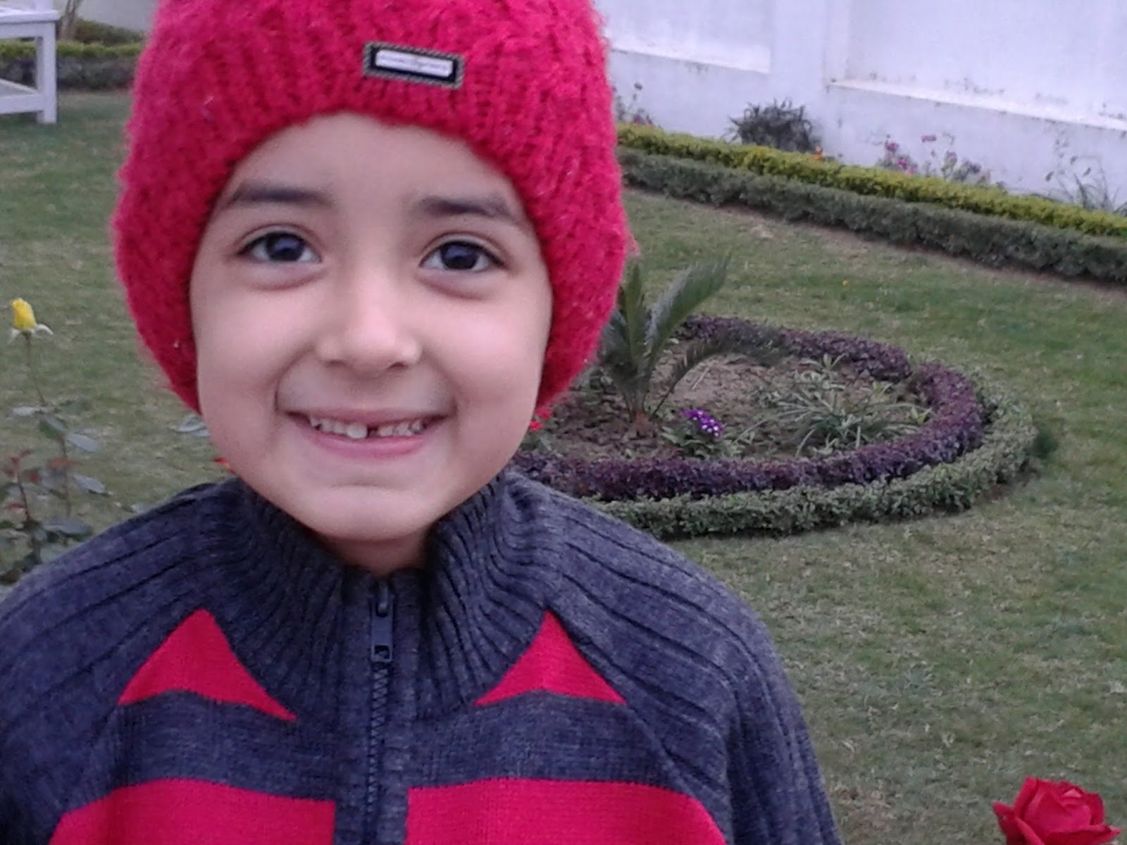 Photo Gallery Of Harry Mann