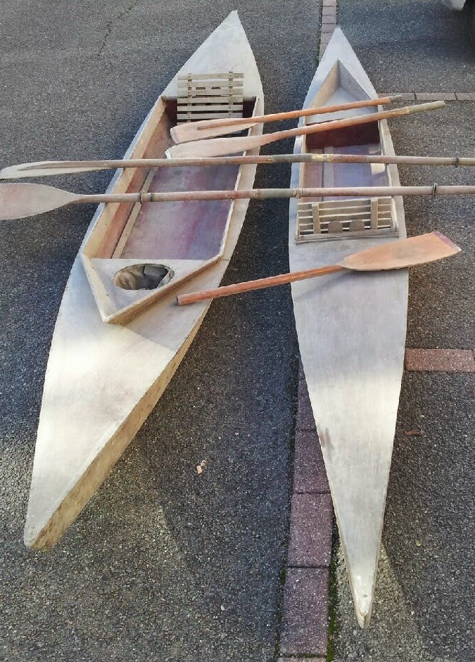 les poissons des arbres: Périssoire cauchoise