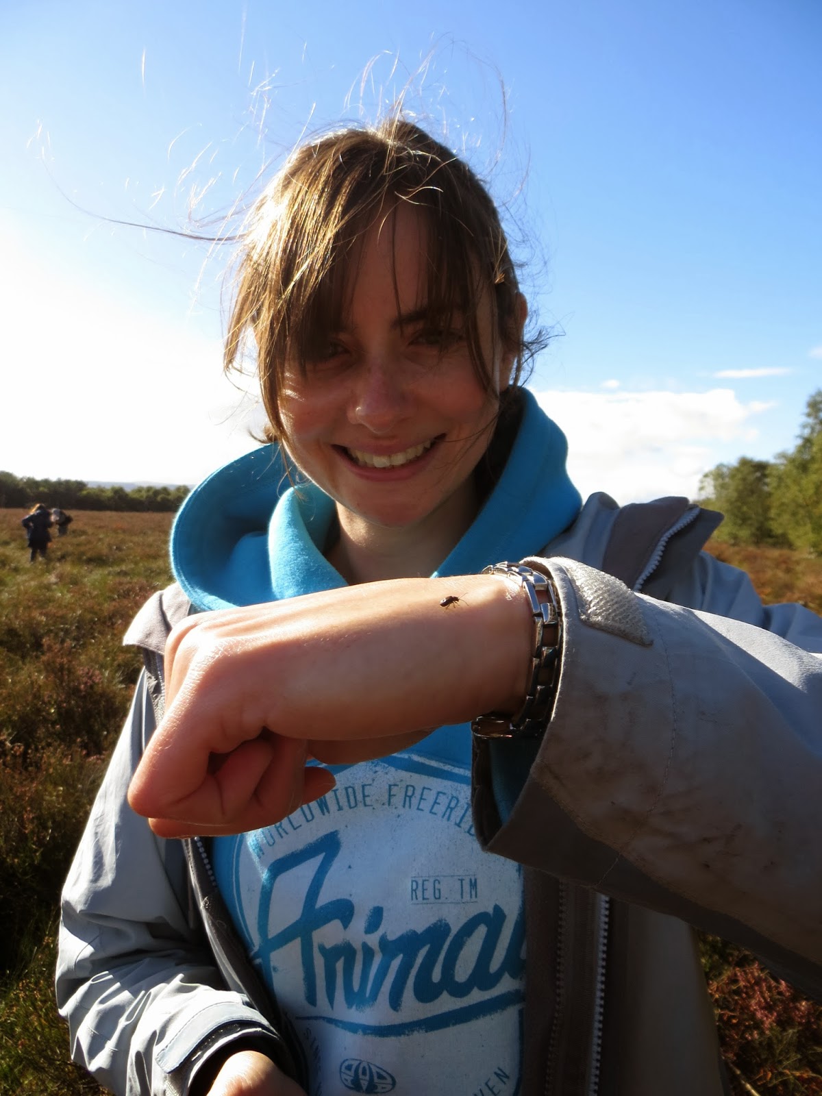 All Our Stories- 'Fallin Bing- from Coalfield to Brownfield!': October 2013