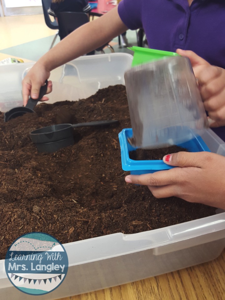 Seeds and Planting in Kindergarten | Learning with Mrs. Langley