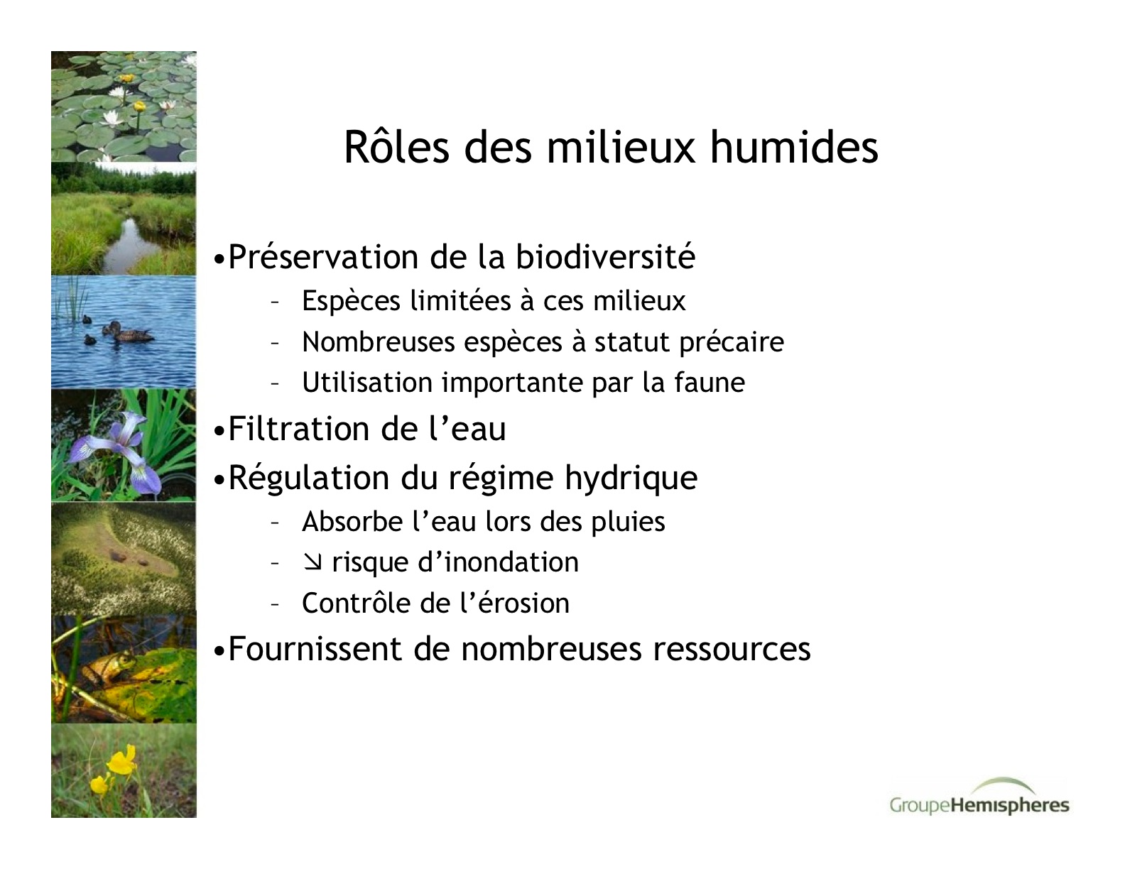 Lac Simon "One Lake - One Chance": Cartograhie des Milieux Humides: Lac ...