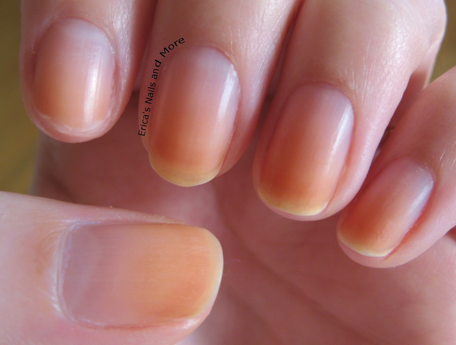 Erica's Nails and More: Elixir Lacquers Lov-a-Bully Swatches