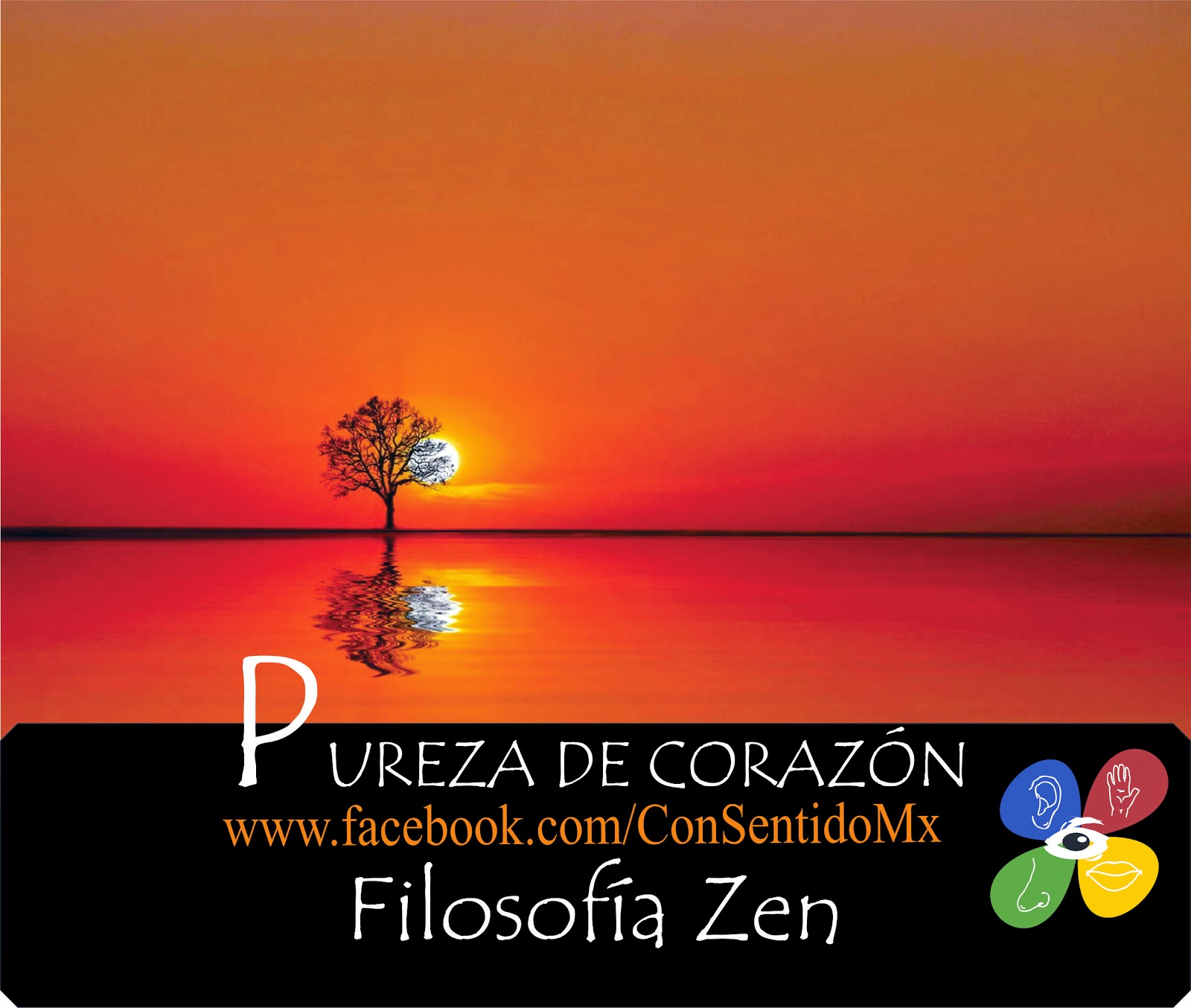 conSentido: PUREZA DE CORAZÓN