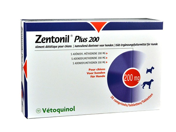 Dogteur: Mon animal a-t-il des problèmes hépatiques