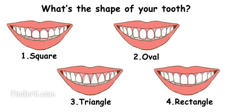 What Your Tooth Shape Says About Your Personality ~ Entertainment News ...