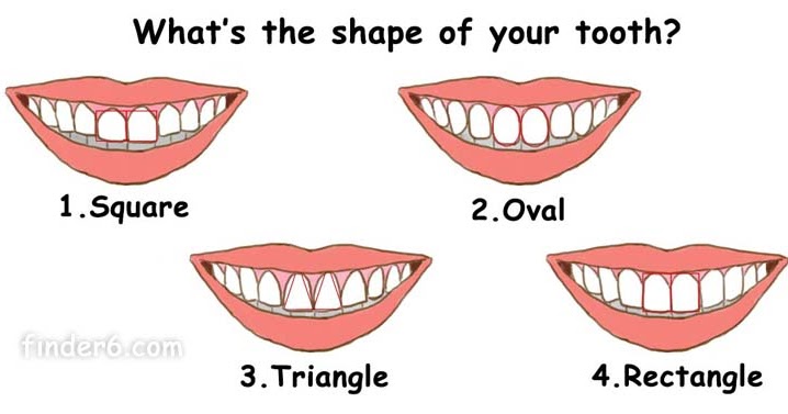 What Your Tooth Shape Says About Your Personality ~ Entertainment News ...