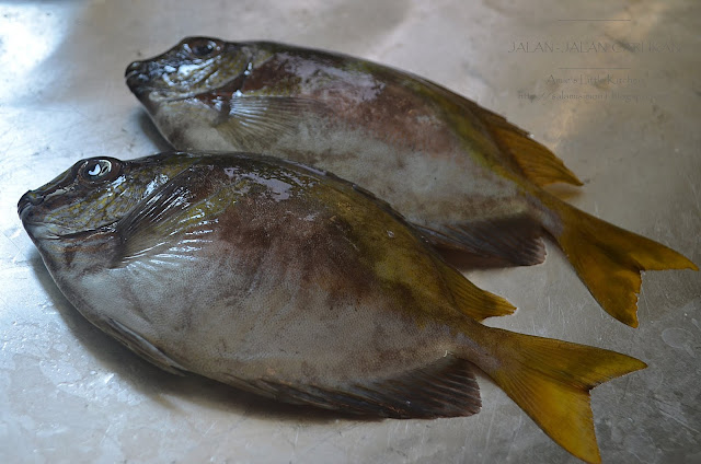 Di Mana Ada Air, Di Situ Ada Ikan. - Amie's Little Kitchen