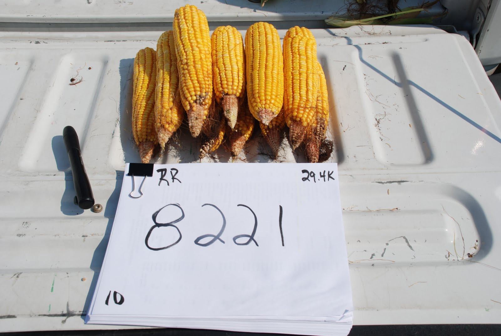 2011 Corn Silage Summary: Croplan 8221 harvested on Sept 1