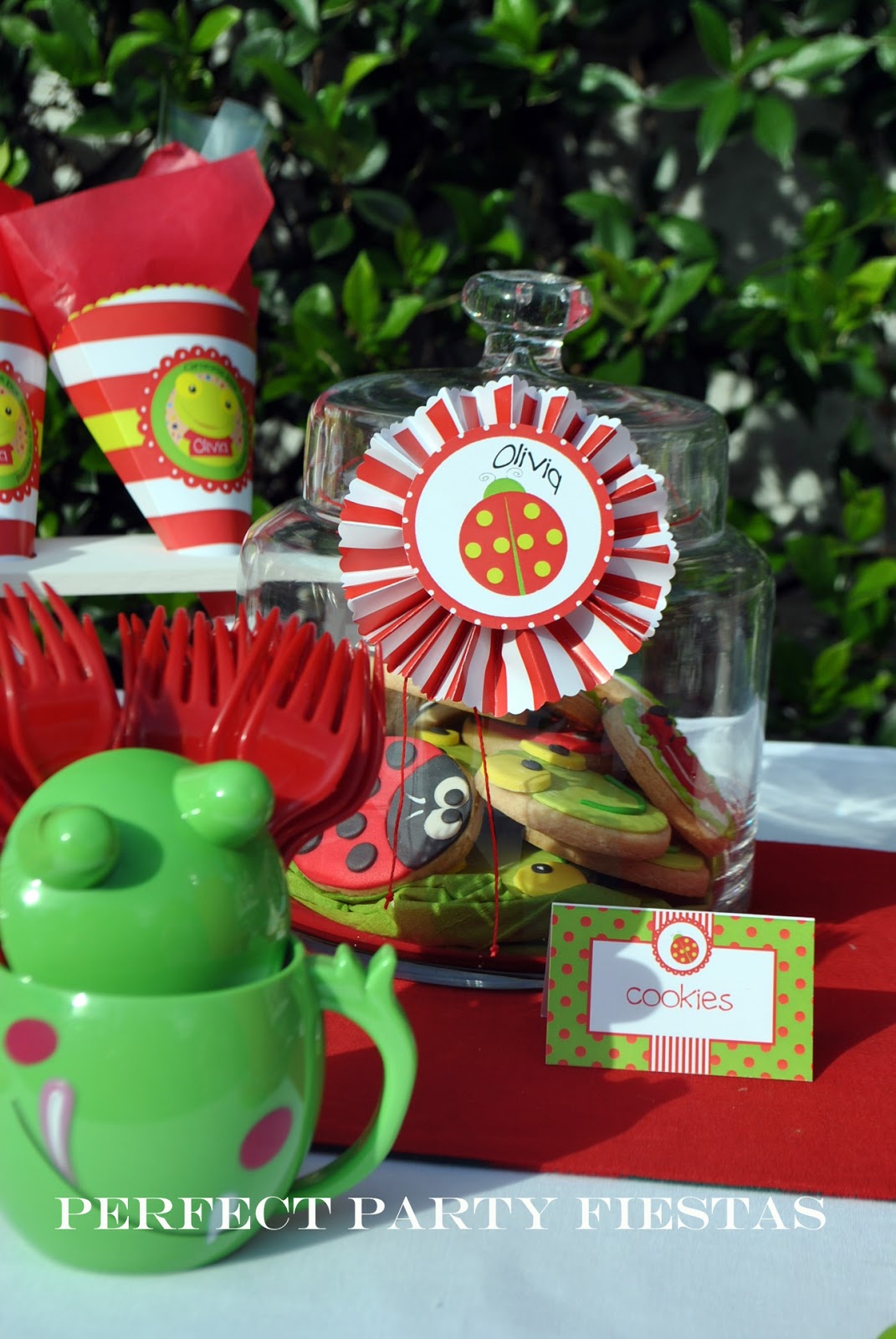 Perfect Party: Fiesta temática del Sapo Pepe - Garden Party