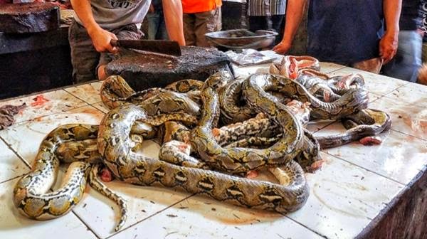 Tomohon Adalah Pasar Yang Memiliki Menu Extreme di Indonesia | BTebung