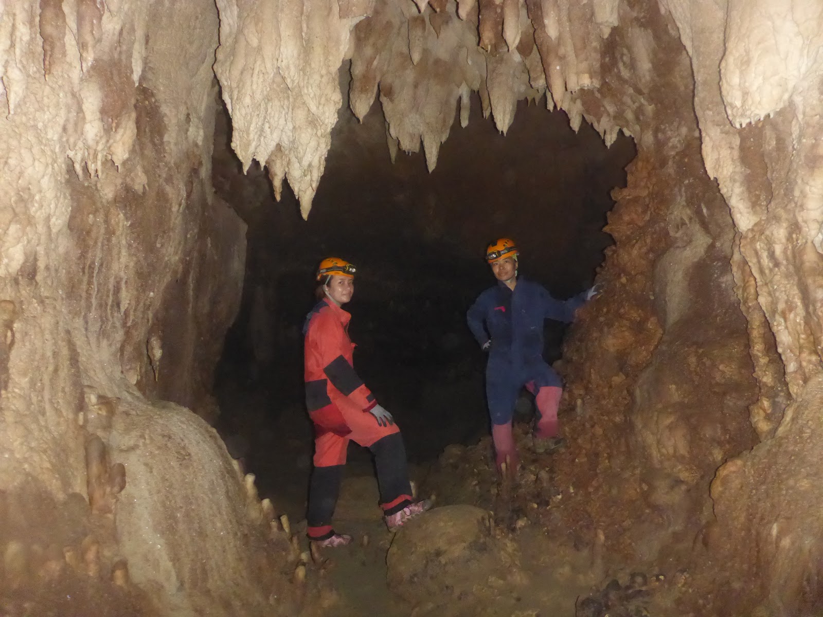 We then moved forward to explore the Grand Canyon. It seems like this ...