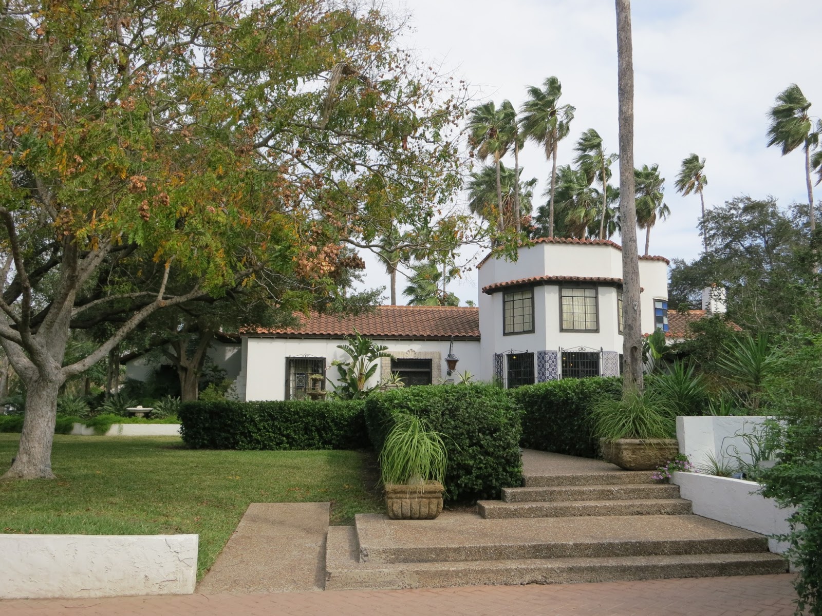 Around the Bend: Birding the Lower Rio Grande Valley: Part 2