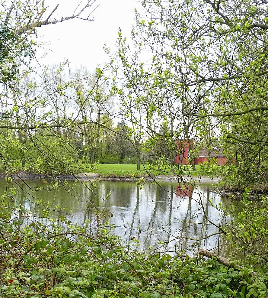 Birding For Pleasure: Bird Group Visit Victoria Park, Belfast