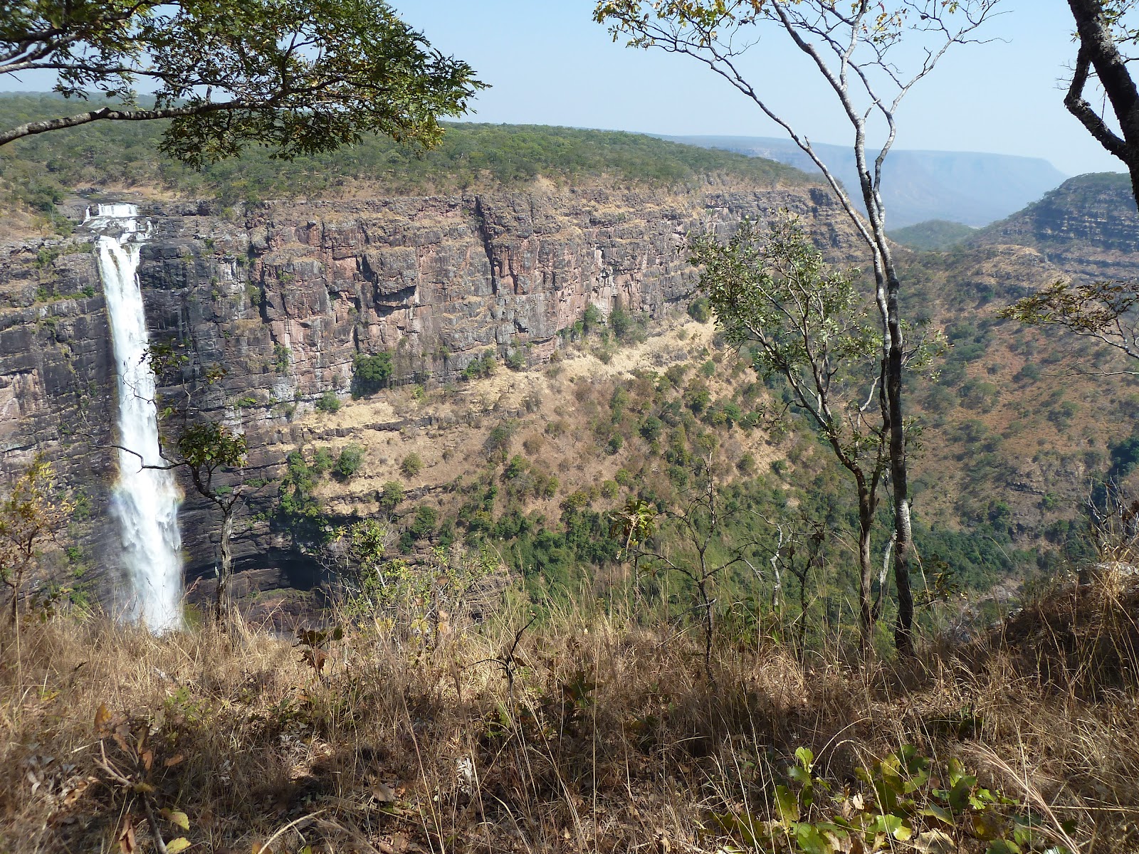 Robert (GeoBob) Ford's BLOG: Forest Biotopes in Kundelungu and Upemba