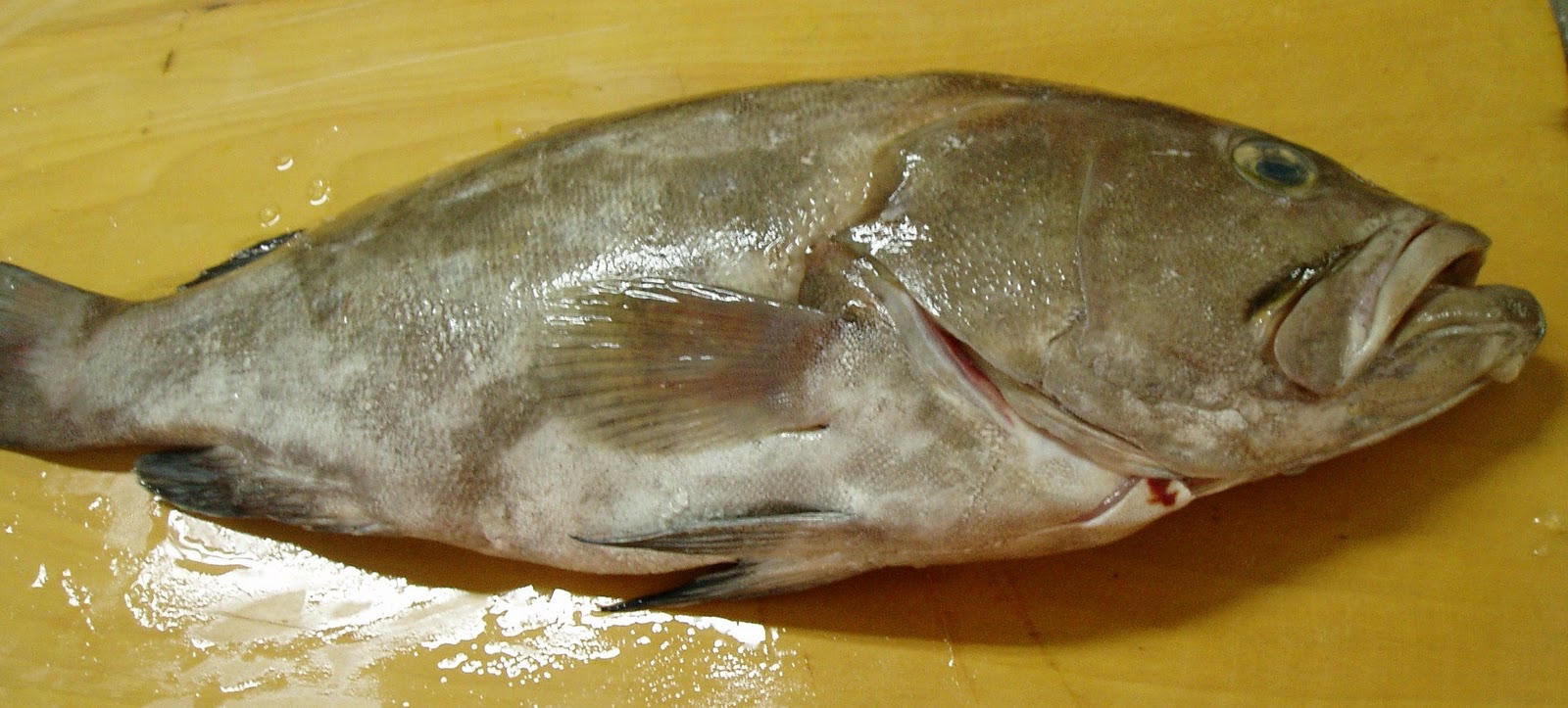 Pescado Fresco de Lima Peru: MERO ENTERO PERFECTO PARA SUDADO FAMILIAR ...